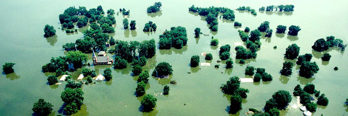 Навиштан дар Edgelands: Сӯҳбат байни Керри Арсено ва Элизабет Раш