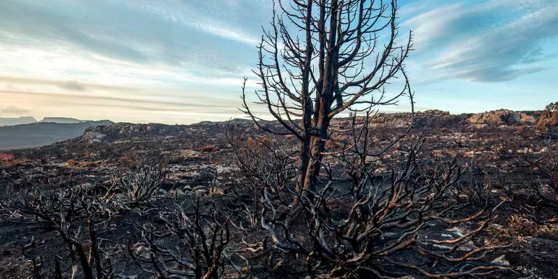 Richard Flanagan na Ide (na idegharị) Site na ọkụ ọkụ na-emebi emebi na Tasmania na Australia