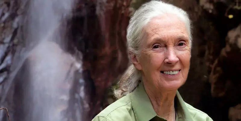 The Resilience of Alam Méré Jane Goodall Hope