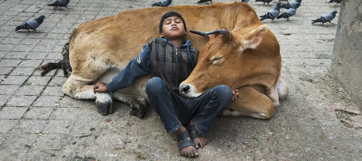 Paul Theroux oo ku yaal Sawirrada Iconic ee Steve McCurry