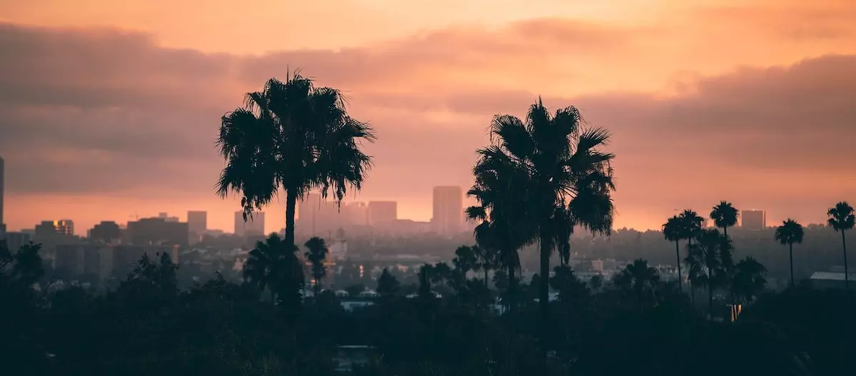 Tom Lutz van Los Angeles Review van boeken over kritiek in de 21e eeuw