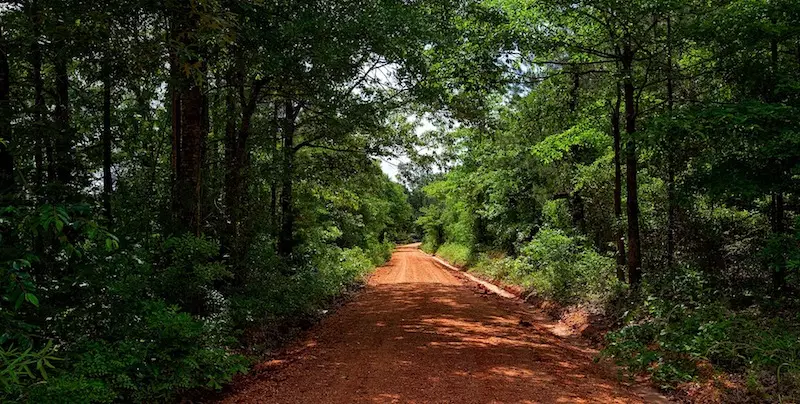 Carta a uma mãe que sobreviveu e prosperou