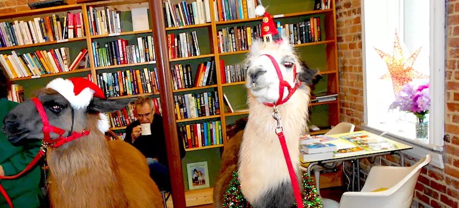 El día que las llamas llegaron a la librería