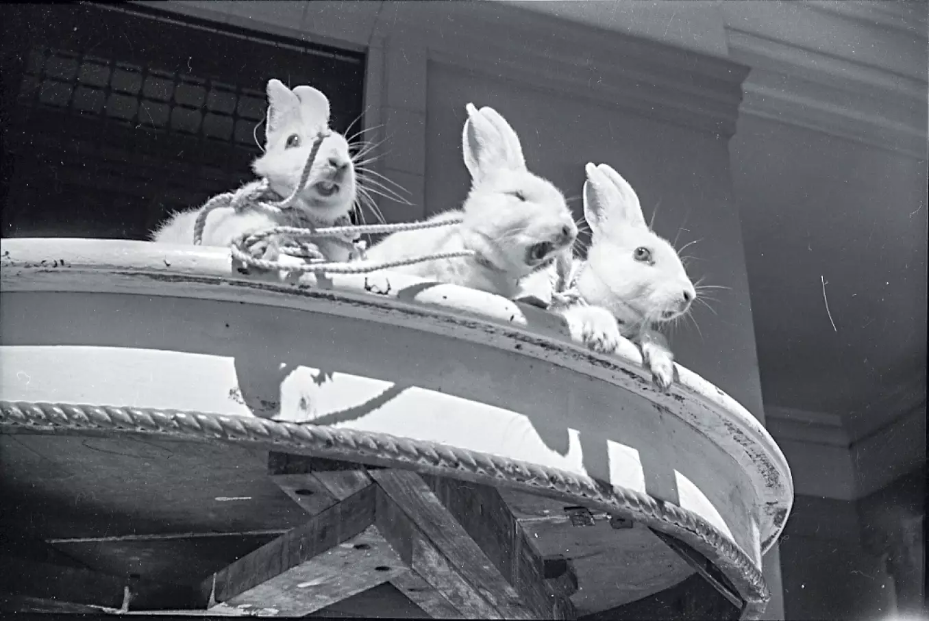 Šta je pokrenulo najranije fotografije Vivian Maier u New Yorku? 605_2