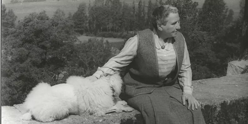 Totul despre coș: o scrisoare de la Gertrude Stein despre câinele ei iubit