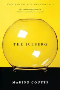 L'iceberg 85580_1