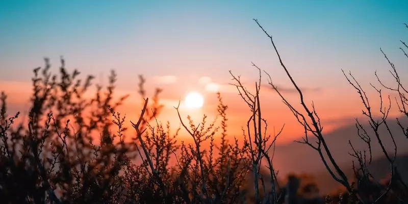 Qorxu hissi yaradıcılığı necə alovlandıra bilər